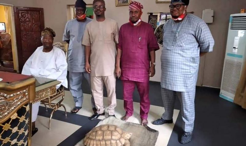 Alagba’s Death: Makinde Delivers New Tortoise To Soun Ogbomoso’s Palace ...